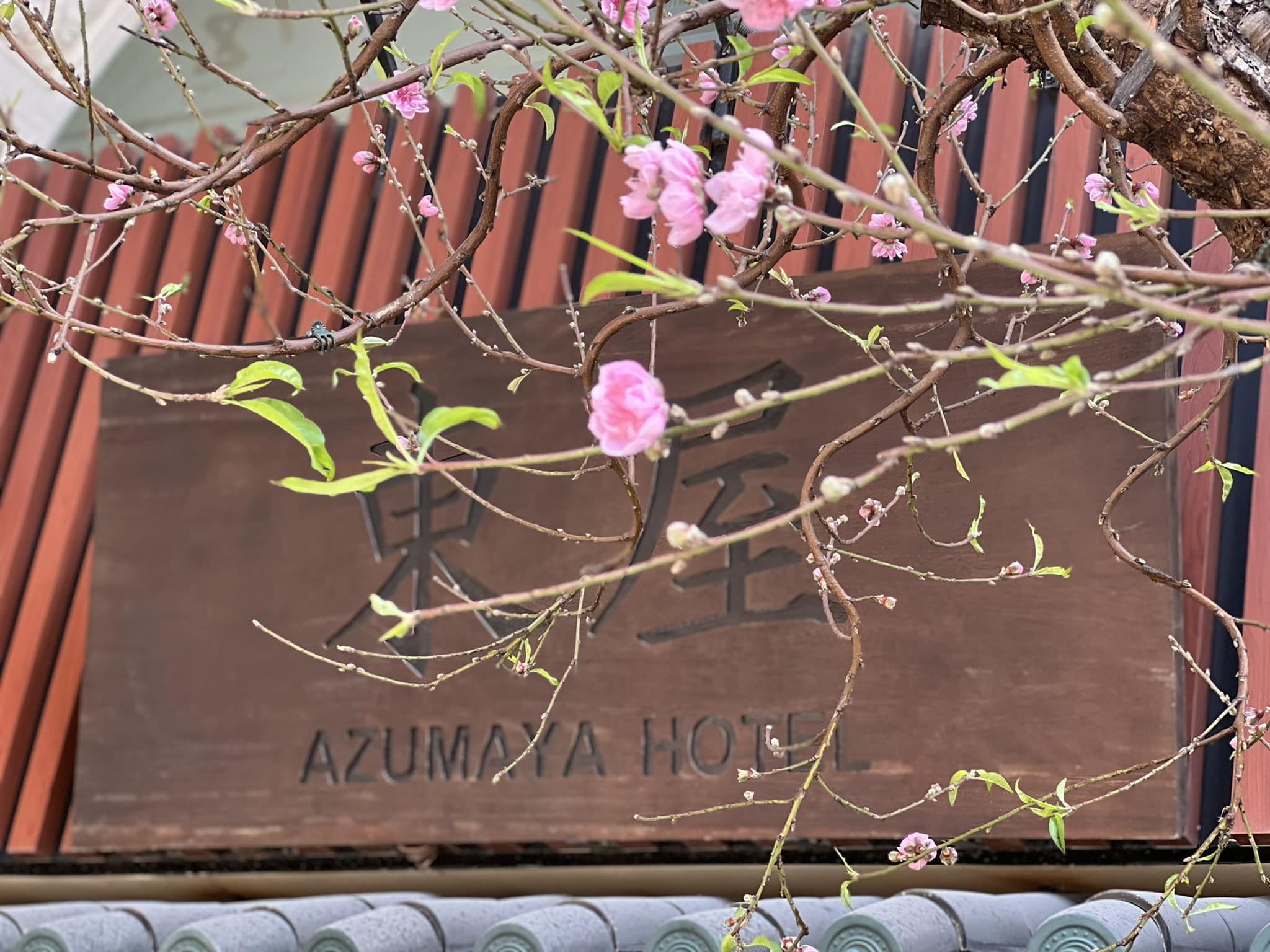 News - Azumaya Hotel Vietnam | Business Hotel in Hanoi, Ho Chi Minh ...